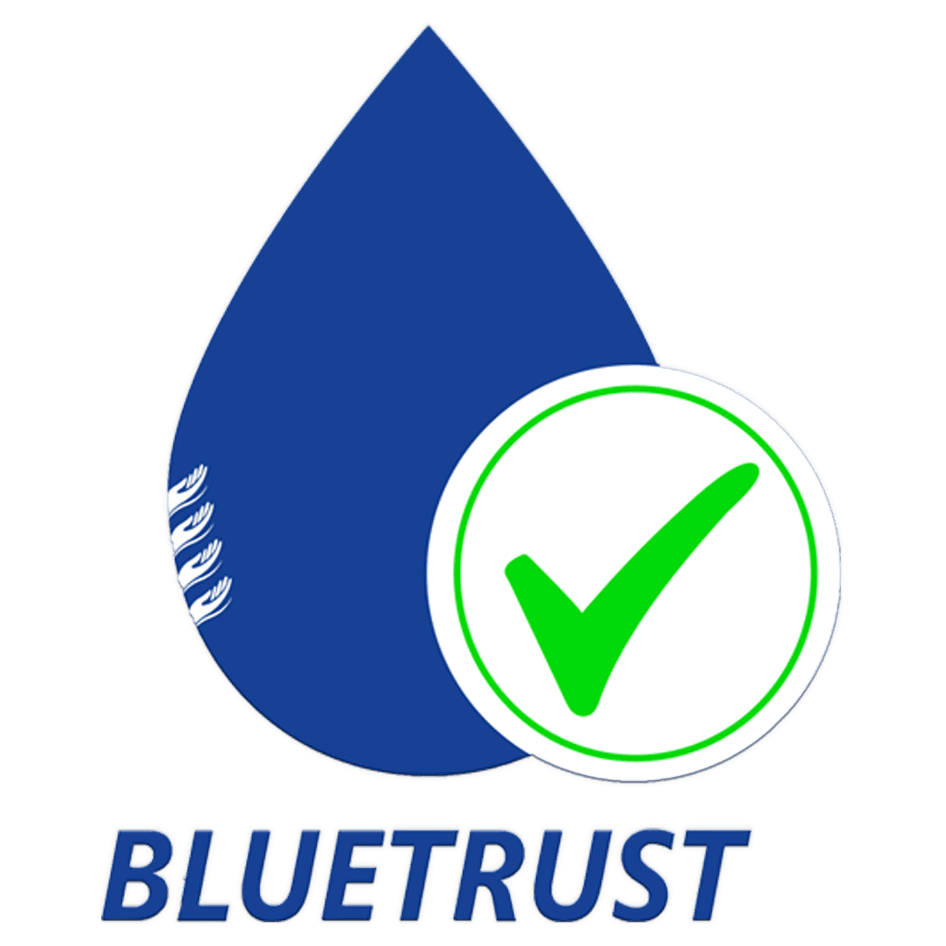 bluetrust.vn